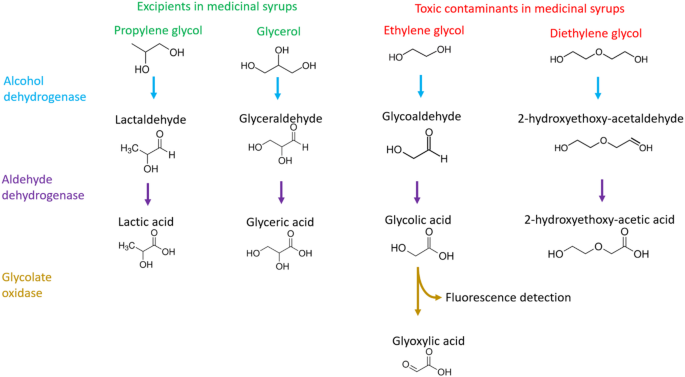 Rapid screening of ethylene glycol and diethylene glycol in raw ...