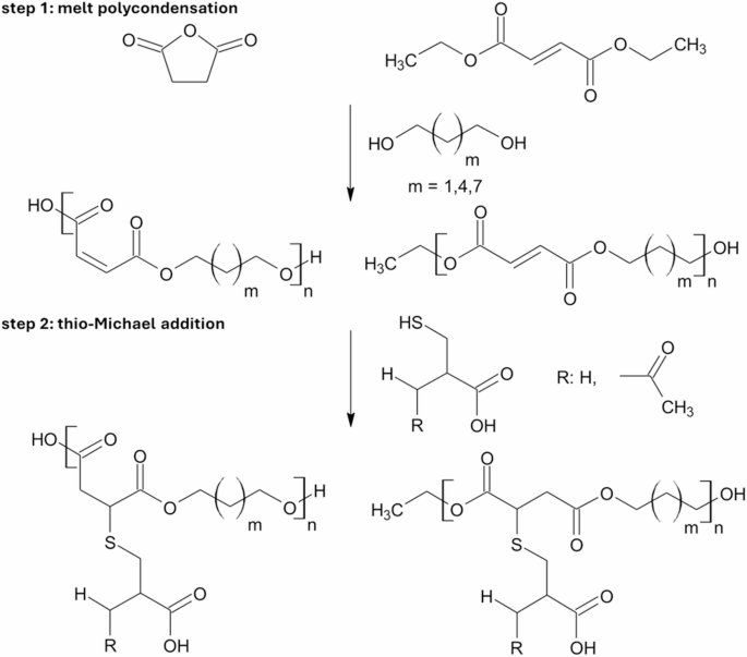 Design of Cysteine Functional Polyesters through Michael Addition | Scientific Reports
