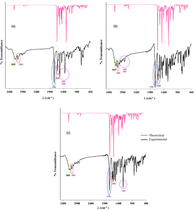 Biological evaluations and biomolecular interactions along with ...
