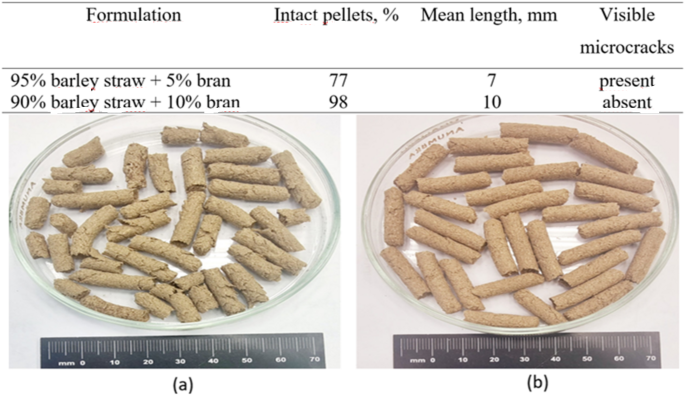 Biochar structure development during slow pyrolysis of pellets from ...
