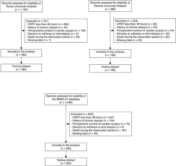 Development and validation of an interpretable predictive machine learning model for successful ...