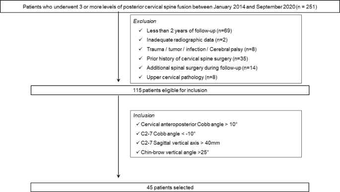 Evaluating intraoperative C2 slope as a radiographic guide for cervical ...