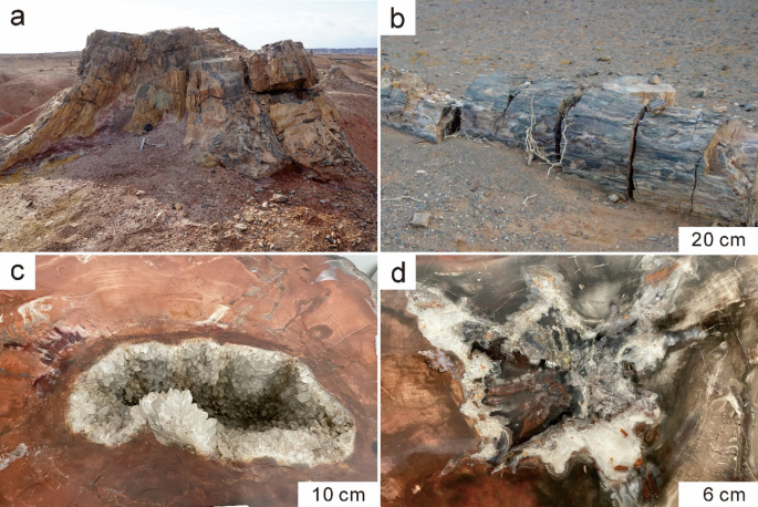 High-temperature wood silicification: constraints from fluid and ...