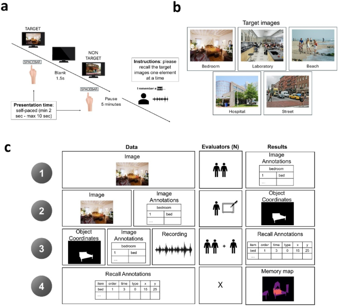 Predicting visual object memory through natural eye movement topography ...