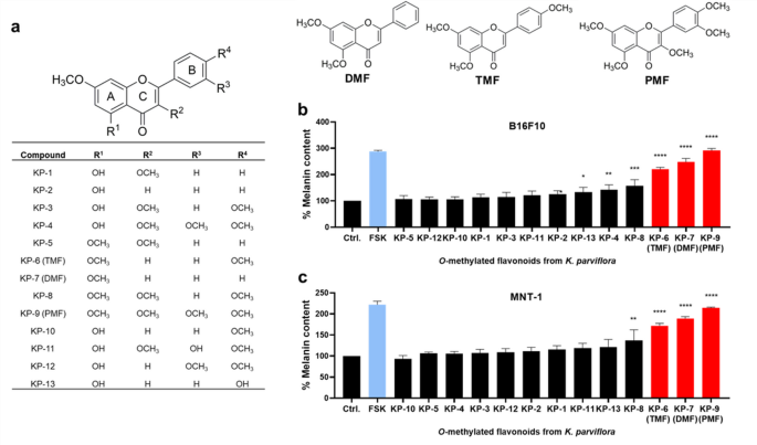Polymethoxyflavones from Kaempferia parviflora stimulate melanogenesis ...