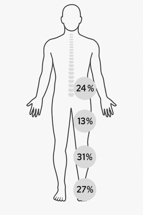 Polish translation and cultural adaptation of the Lower Extremity ...