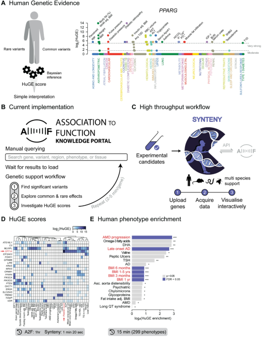 Synteny – a high throughput web tool to streamline causal gene ...