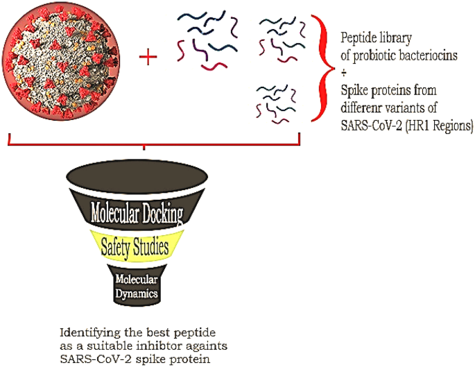Computational screening and molecular modeling of probiotic-derived ...