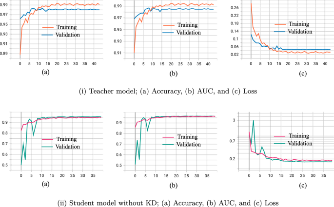 Knowledge distillation-based lightweight MobileNet model for diabetic ...