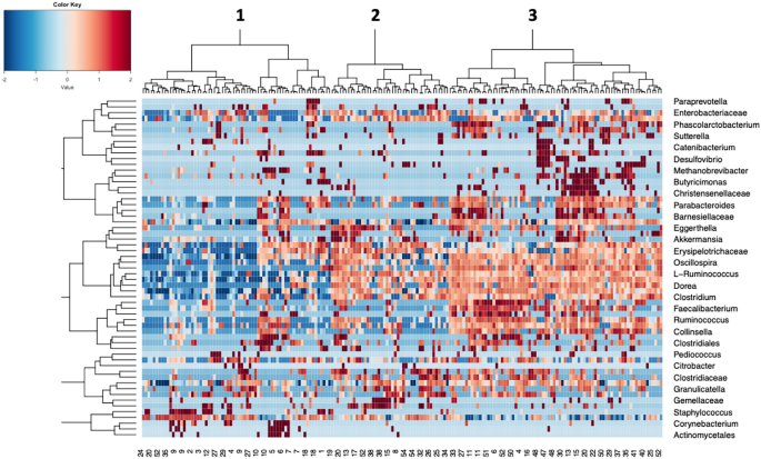 Influence of ESBL colonization status on gut microbiota composition ...