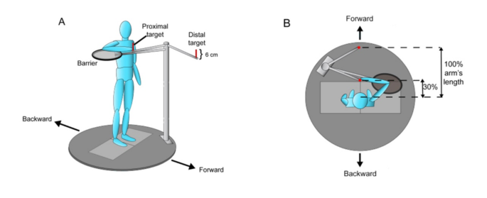 Biomechanical coordination and variability alters following repetitive ...