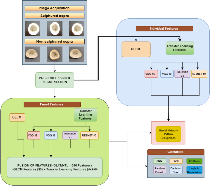 Combination of gray level features with deep transfer learning for ...
