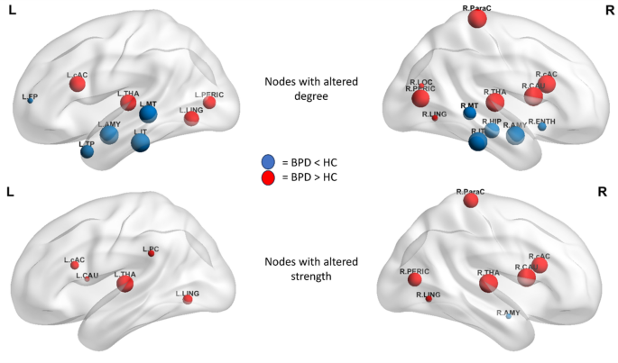 Neurobiological correlates of personality dimensions in borderline ...