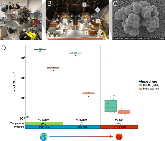 Hydrogenotrophic methanogenesis at 7–12 mbar by Methanosarcina barkeri ...