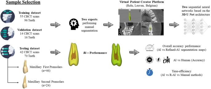 A unique AI-based tool for automated segmentation of pulp cavity structures in maxillary ...