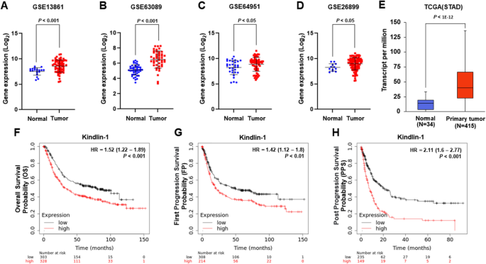 Kindlin-1 promotes gastric cancer cell motility through the Wnt/β ...