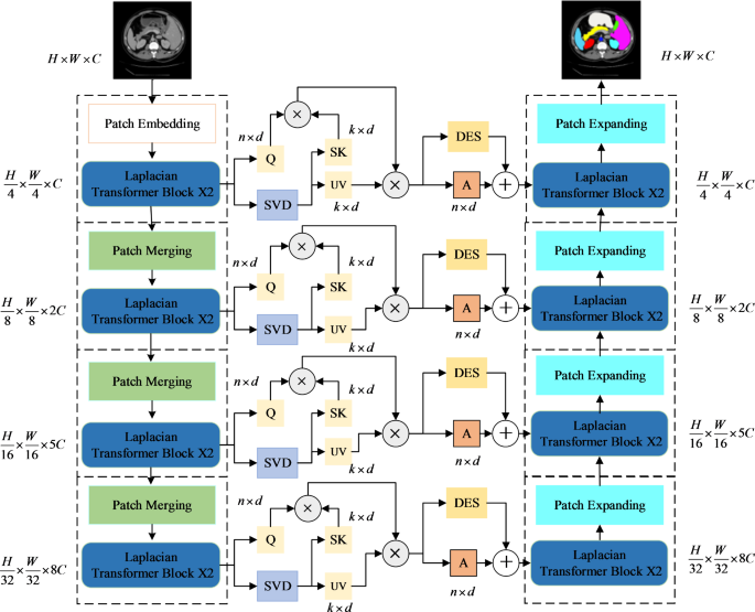 Medical image segmentation based on frequency domain decomposition SVD linear attention ...