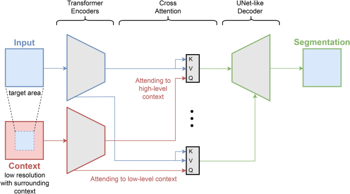 Context-guided segmentation for histopathologic cancer segmentation | Scientific Reports