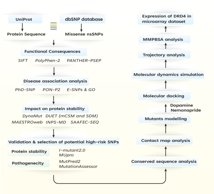 Exploring the impact of deleterious missense nonsynonymous single ...