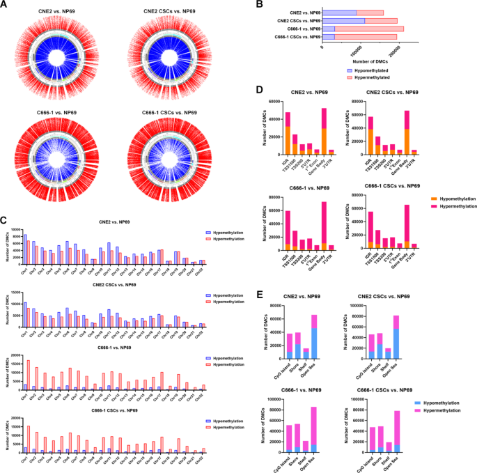 Multi-omic analyses reveal aberrant DNA methylation patterns and the ...