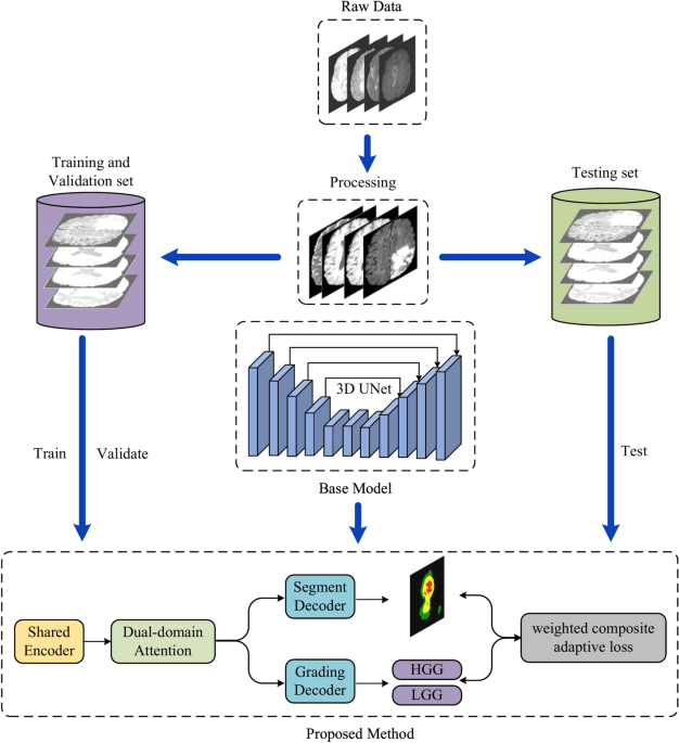 A deep ensemble learning framework for glioma segmentation and grading prediction | Scientific ...