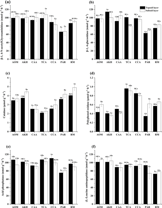 Rubber intercropping with arboreal and herbaceous species alleviated ...