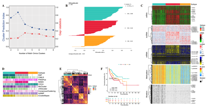 Integrating multiomics analysis and machine learning to refine the molecular subtyping and ...