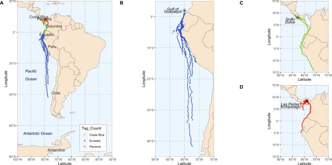 Migratory behaviour of humpback whales in the southeastern Pacific ...