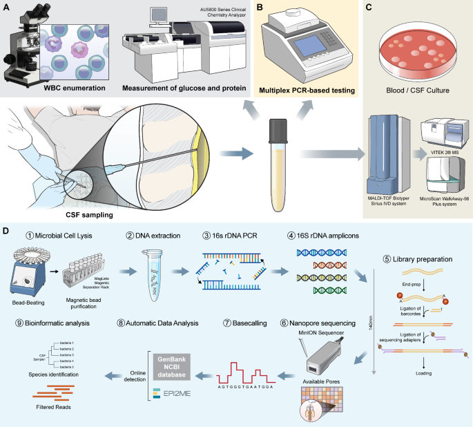 Clinical performance of real-time nanopore metagenomic sequencing for ...