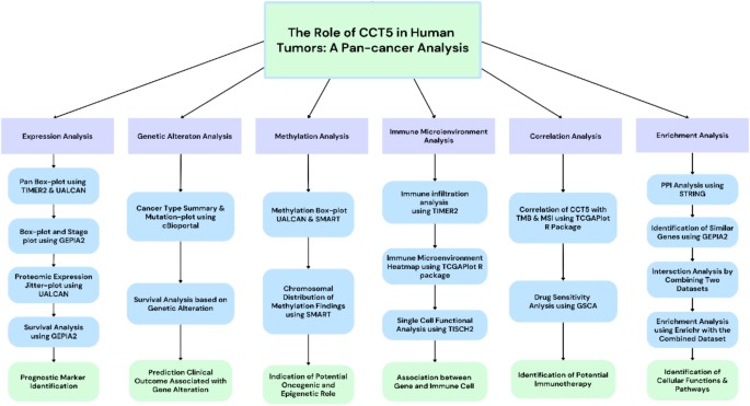 Pan-cancer analysis reveals immunological and prognostic significance of CCT5 in human tumors ...