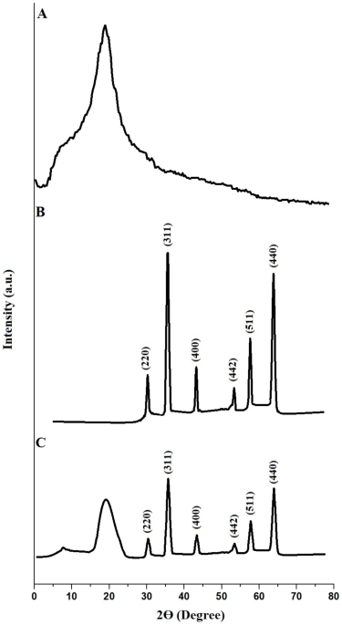 Synthesis of novel magnesium ferrite Schiff base chitosan nanocomposite ...