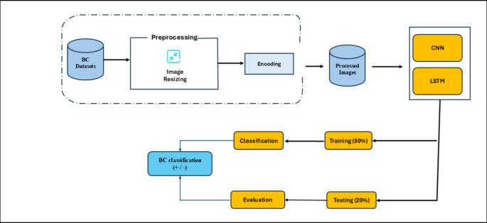 Breast cancer classification based on hybrid CNN with LSTM model ...