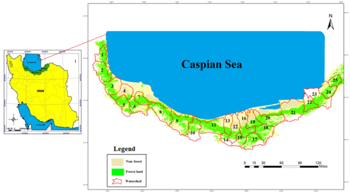 Effects of forest structure from graph theory connectivity indicators ...