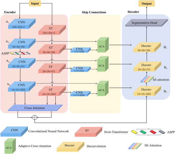 MedFuseNet: fusing local and global deep feature representations with hybrid attention ...