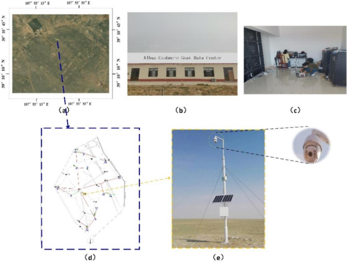 BiAF: research on dynamic goat herd detection and tracking based on ...