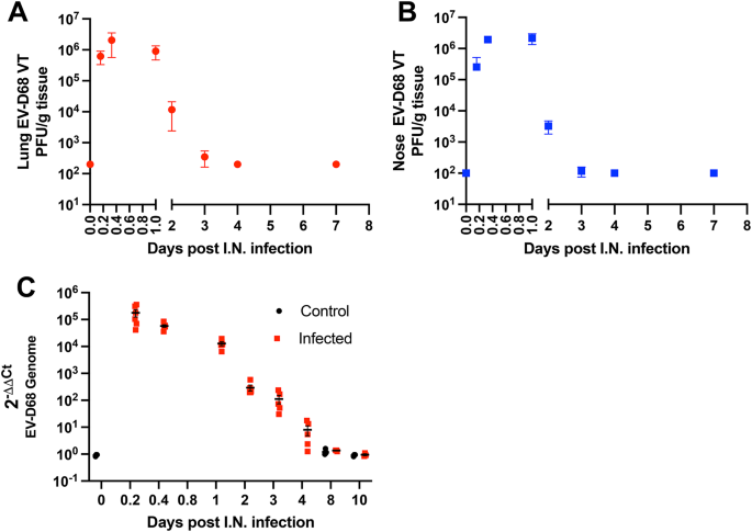 Enterovirus D68 infection in cotton rats results in systemic ...