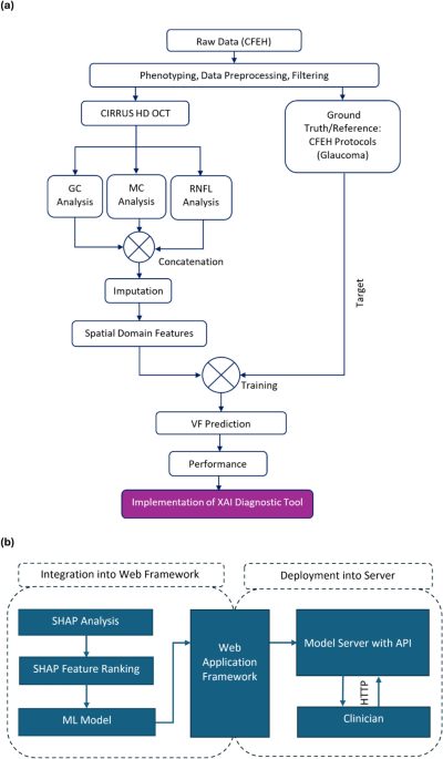 Predicting visual field global and local parameters from OCT measurements using explainable ...