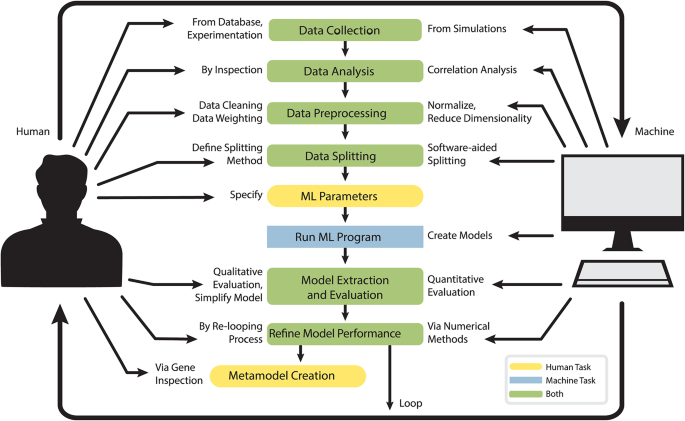 Discovering chemistry to creep rupture equations in Alloy 617 with machine learning | Scientific ...