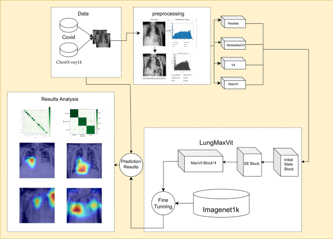 Explainable hybrid transformer for multi-classification of lung disease using chest X-rays ...