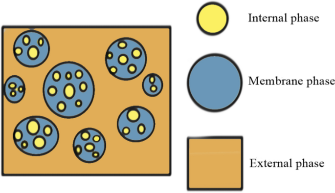 Gibbsian surface thermodynamic analysis of emulsion liquid membranes ...