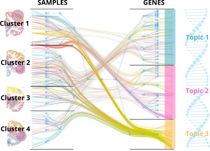 Topic modeling analysis of the Allen Human Brain Atlas | Scientific Reports