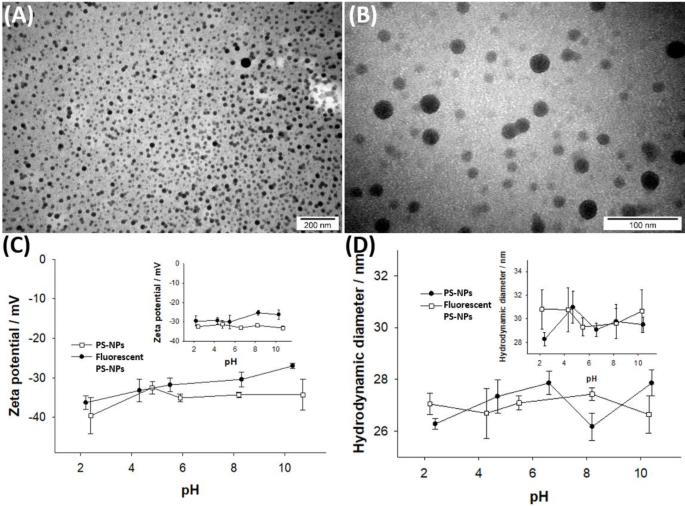 Primary astrocytes as a cellular depot of polystyrene nanoparticles ...