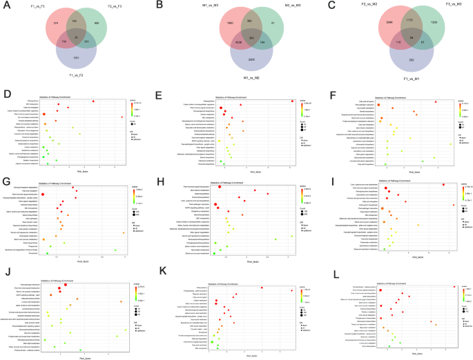 Integrating transcriptome and metabolome analyses to characterize ...