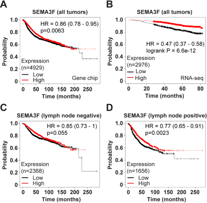 Semaphorin 3F inhibits breast cancer metastasis by regulating the Akt ...