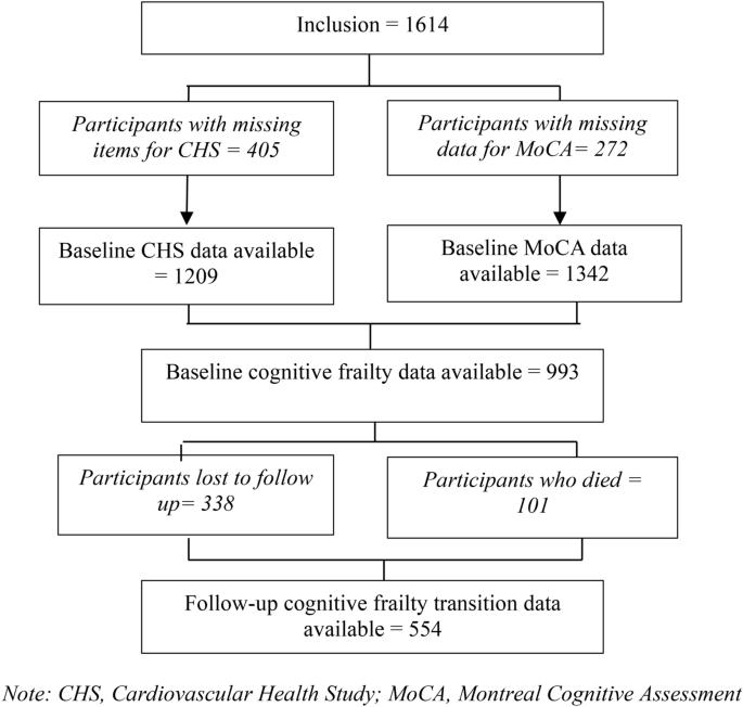 Transitions across the cognitive frailty spectrum and its association ...