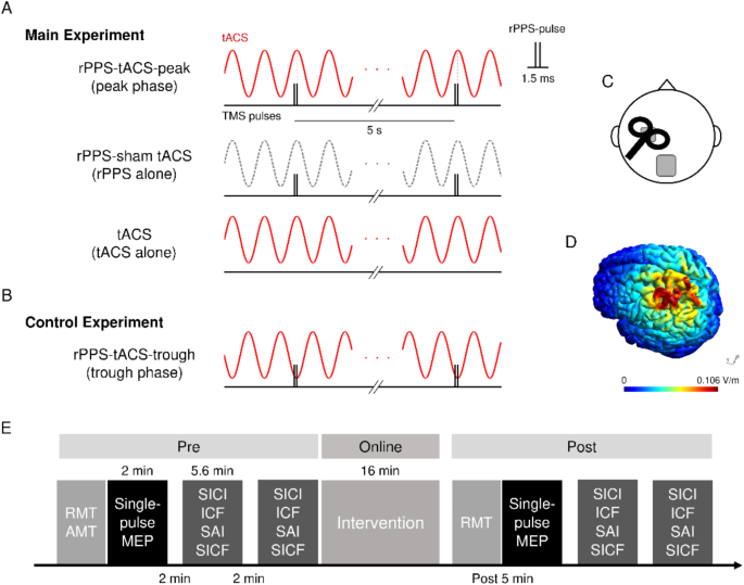 Neural mechanisms underlying the after-effects of repetitive paired ...