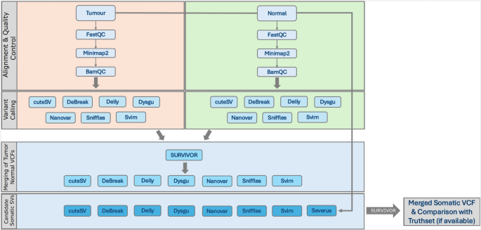 Benchmarking long-read structural variant calling tools and combinations for detecting somatic ...