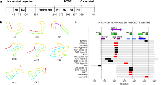 Geometry based prediction of tau protein sites and motifs associated ...