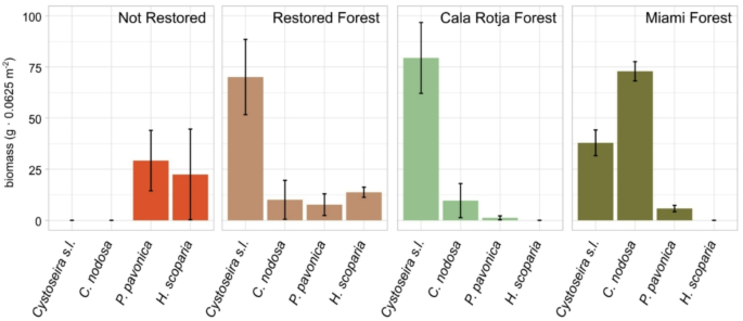 Metabarcoding identifies macroalgal composition as a driver of benthic ...