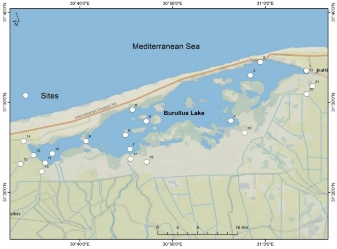 Assessing microplastic pollution vulnerability in a protected coastal ...